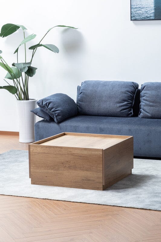 Eleanor Light Brown Wood Finish Coffee Table with 2 Handleless drawers ...